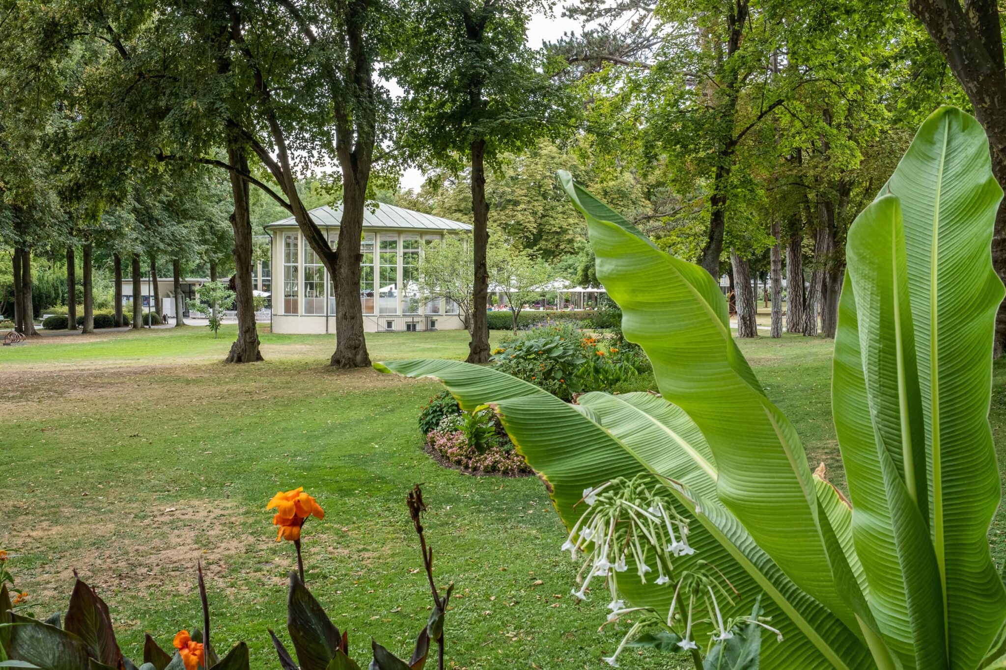 Kurpark Bad Kãnig